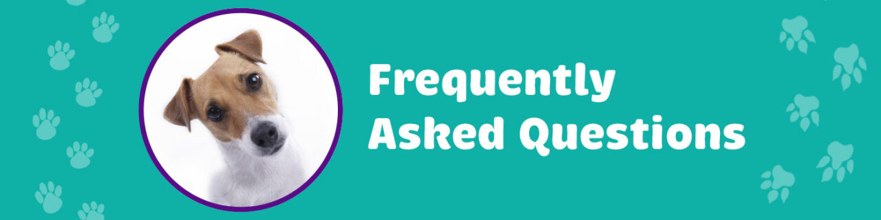 FAQ | RSPCA Papua New Guinea